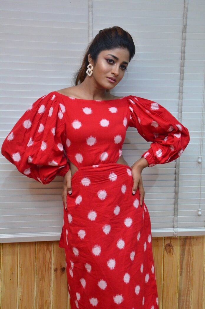 Dimple Hayathi and Meenakshi Chowdary Interview