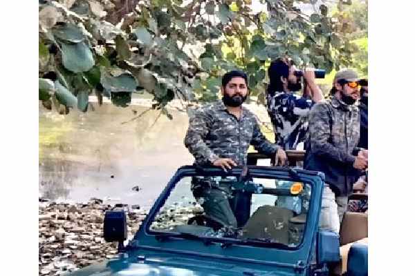 Allu Arjun Holidaying at Ranthambore National Park - Telugu360