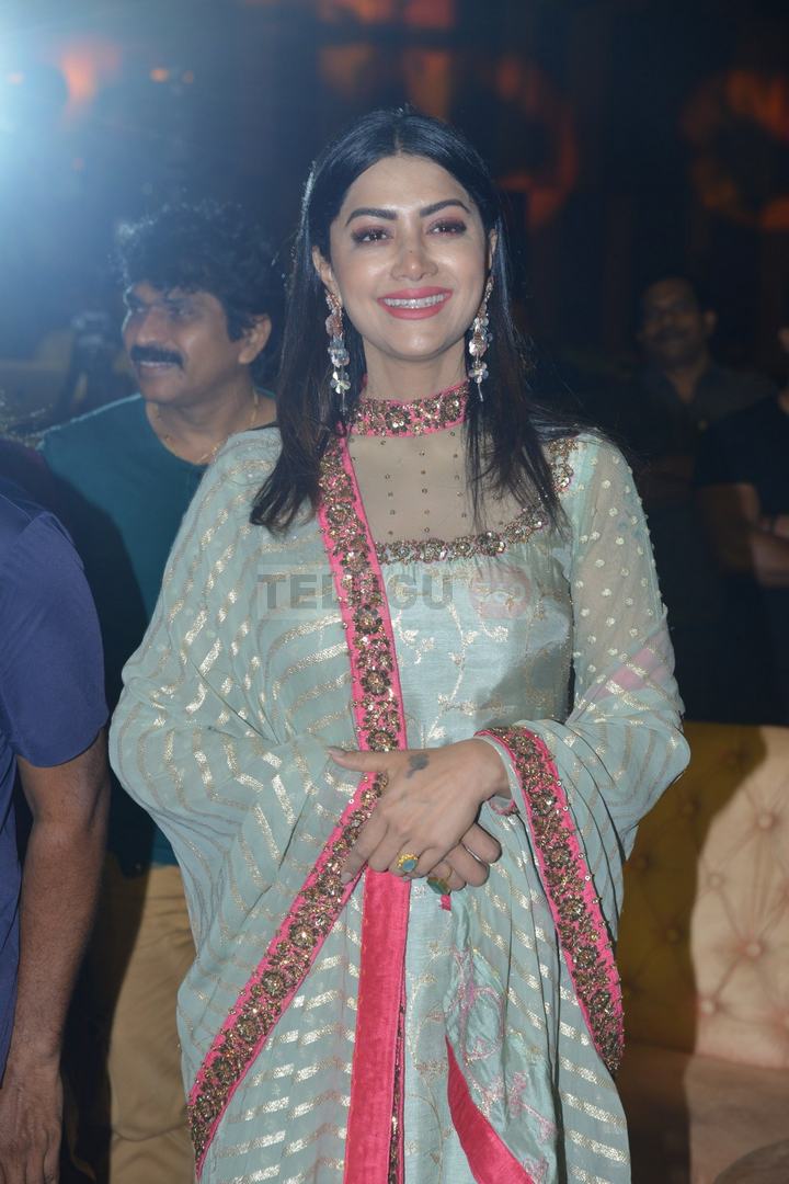 Rudrangi Movie Pre Release