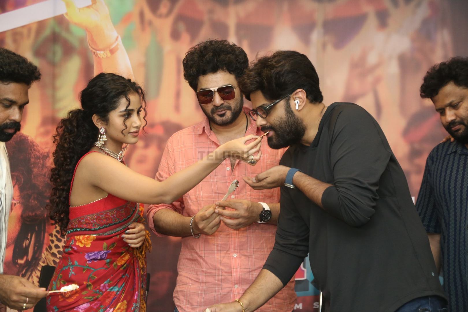 Tillu Square Movie Success Celebrations