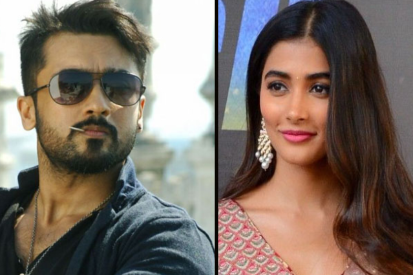 Pooja Hegde to romance Suriya? - Telugu360
